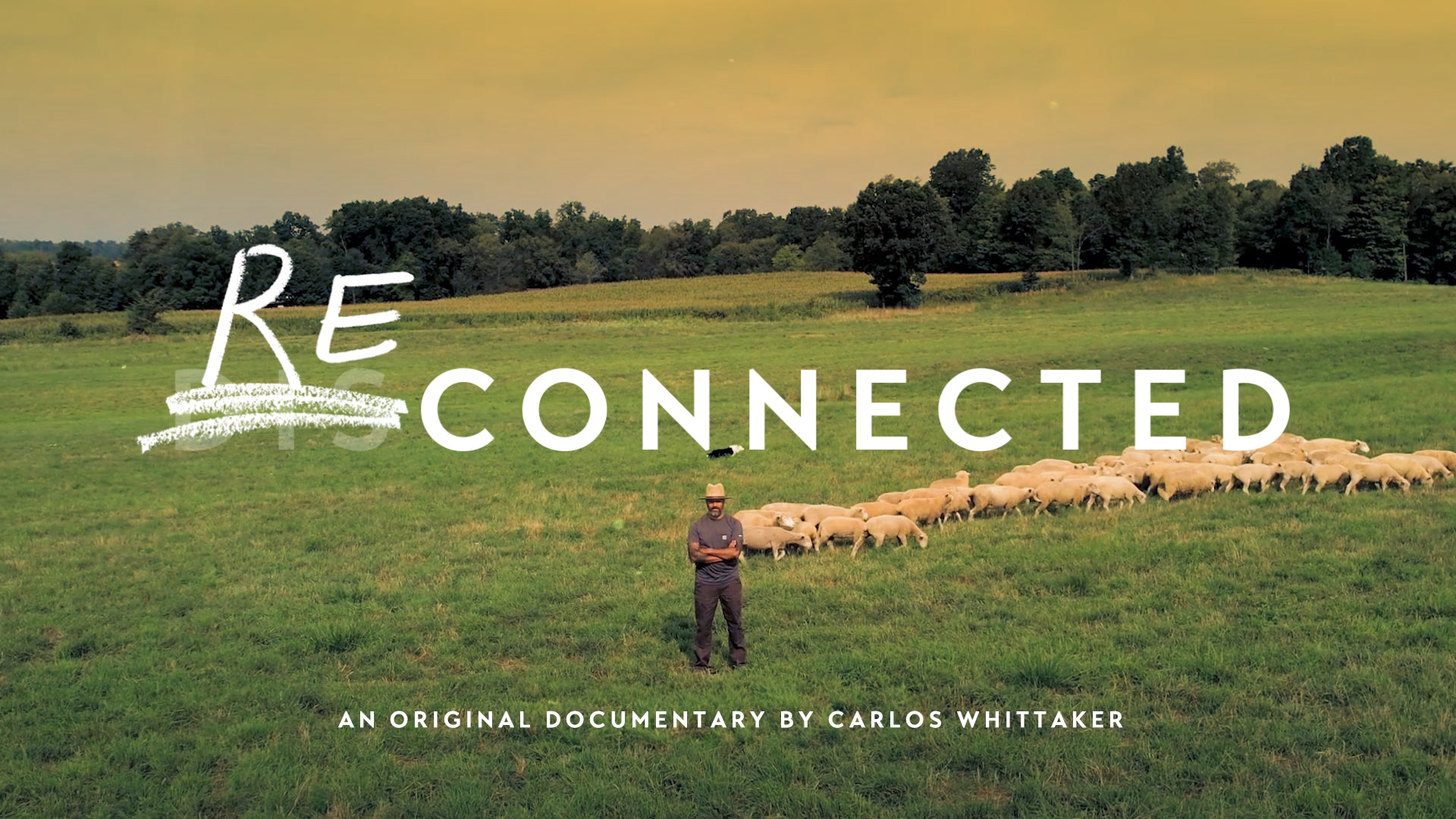 Reconnected: A Documentary – Loswhit's Merch